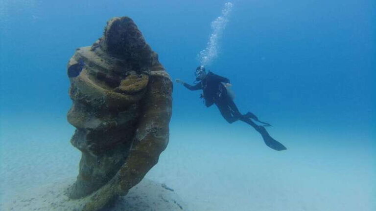 Playa del Carmen: Open Water Course - The Logistics: What Makes This Tour Practical and Smooth