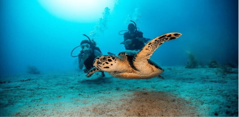 Playa del Carmen: Open Water Diver Course - Detailed Breakdown of the Itinerary