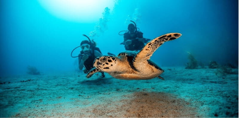 Playa del Carmen: Open Water Diver Course - Detailed Breakdown of the Itinerary