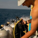 Playa del Carmen: Refresher Dive - What to Expect During Your Playa del Carmen Refresher Dive