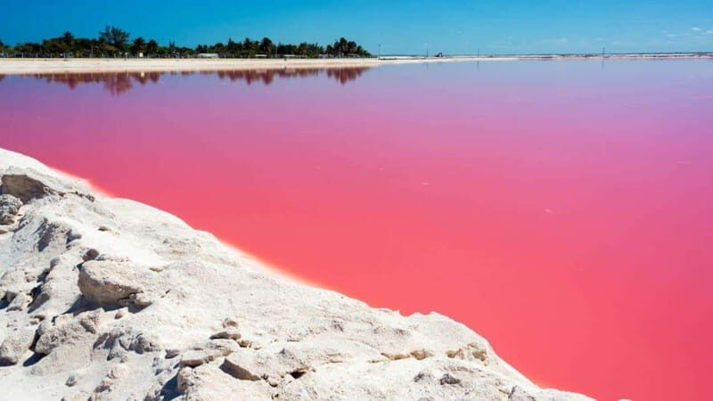 Playa del Carmen: Rio Lagartos and Las Coloradas Tour - The Itinerary: What to Expect