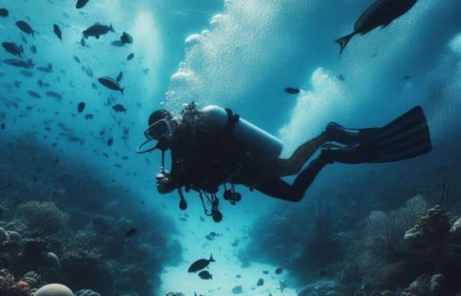 Playa del Carmen: Scuba Diving for certified divers - The Value of This Experience