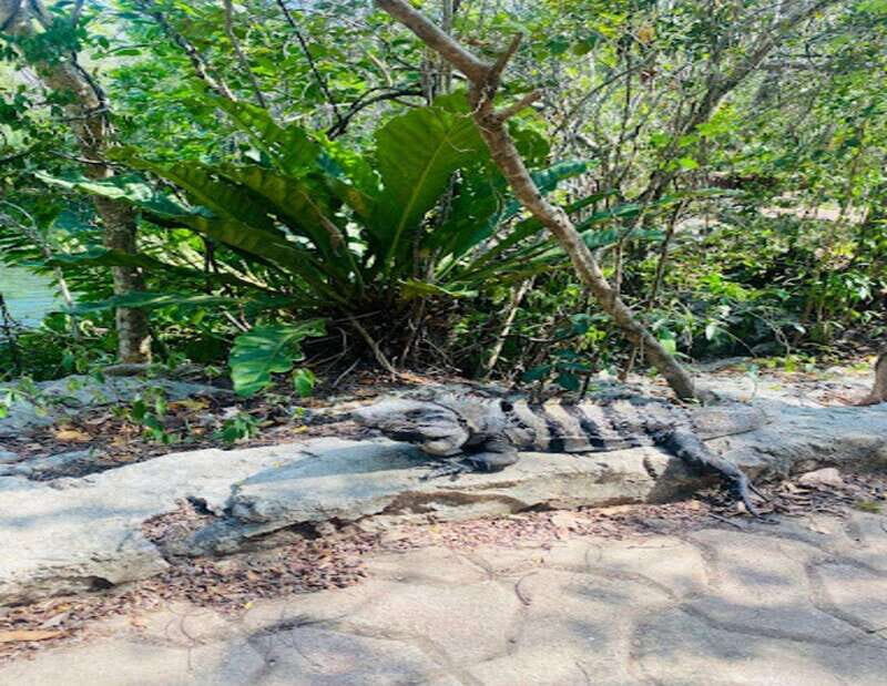 Playa del Carmen: Tour to Chichén Itzá and Valladolid - The Value of This Tour