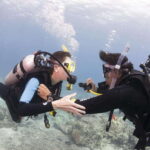 Playa del Carmen: Ultimate PADI Open Water Diver Experience - The Itinerary: Step-by-Step Breakdown