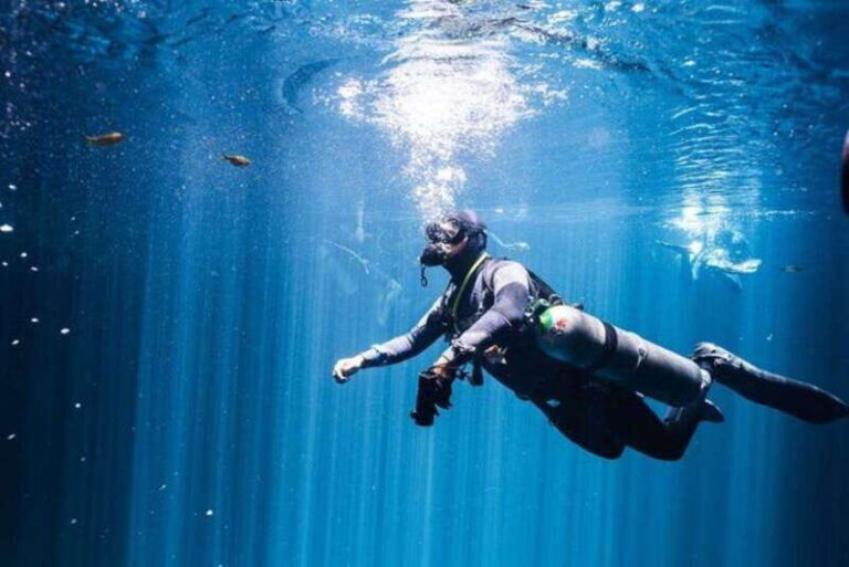 Playa del Carmen: Wreck Dive Mama Viña - Introduction to Playa del Carmen’s Wreck Dive