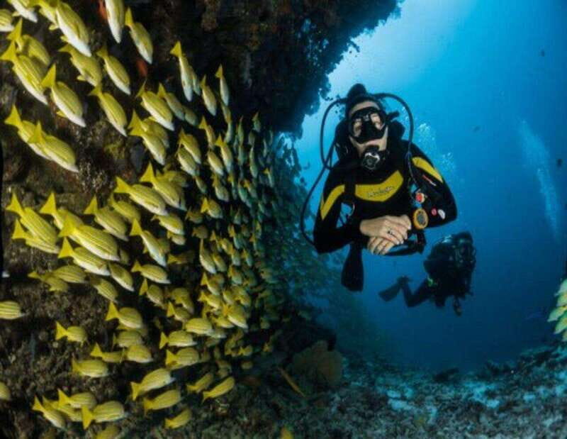 Playa: Dive in Cozumel - The Experience of the Day