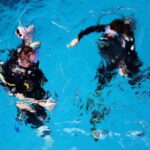 Playa: Diving Local Reef - The Practicalities