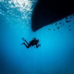 Playa: Night Dive - The Essentials of the Night Dive Tour