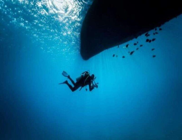 Playa: Night Dive - The Essentials of the Night Dive Tour