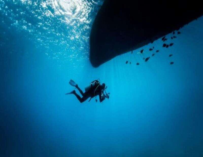 Playa: Night Dive - The Essentials of the Night Dive Tour