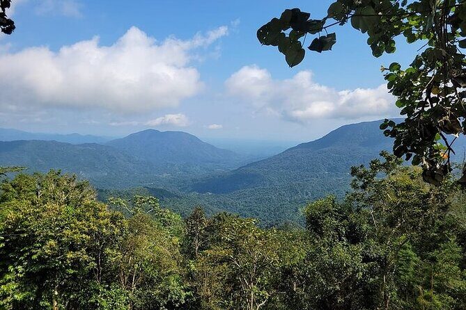 Pluma Hidalgo Coffee Experience - What’s Included & Not