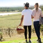 Pokolbin: Picnic & Wine Tasting at Audrey Wilkinson Vineyard - How It Compares to Other Hunter Valley Tours
