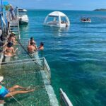 Ponton Day Trip SWIM with fishs All meals included & Transport - Who Would Love This Experience?