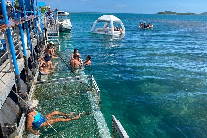 Ponton Day Trip SWIM with fishs All meals included & Transport - Who Would Love This Experience?