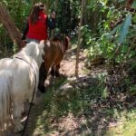 Pony Walking Adventure - Why This Tour Excels