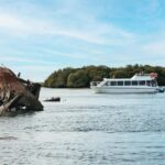 Port Adelaide: Dolphin and Ships Graveyard Cruise - Why This Tour Works for Different Travelers
