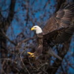 Port Alice: Sea Otter and Wildlife Tour - 6 hour with lunch - Final Thoughts