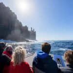 Port Arthur: Cape Raoul Wilderness Cruise - Discovering Tasmania’s Wild Coastline