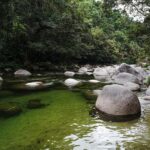 Port Douglas: Best of Daintree Rainforest Day Tour - Who Will Love This Tour?