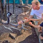 Port Douglas: Breakfast with the Birds - A Complete Breakdown: Is It Worth It?