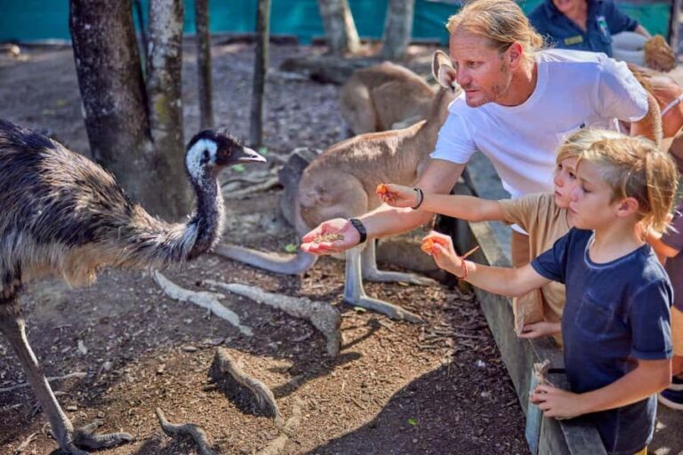 Port Douglas: Breakfast with the Birds - A Complete Breakdown: Is It Worth It?