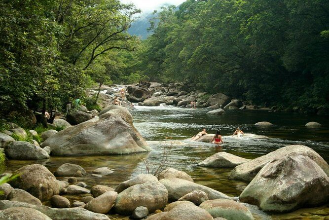 Port Douglas Daintree National Park Boutique Full-Day Tour - Authentic Experiences and Challenges
