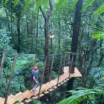 Port Douglas: Daintree National Park Tour, Cruise, & Zipline - Exploring Daintree in Multiple Dimensions