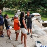 Port Douglas & Daintree Tour for Cruise Ship Passenger - Authentic Insights from Reviews