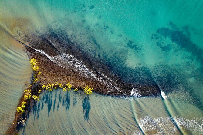 Port Douglas Day Tour from Cairns - Exploring the Cairns to Port Douglas Adventure