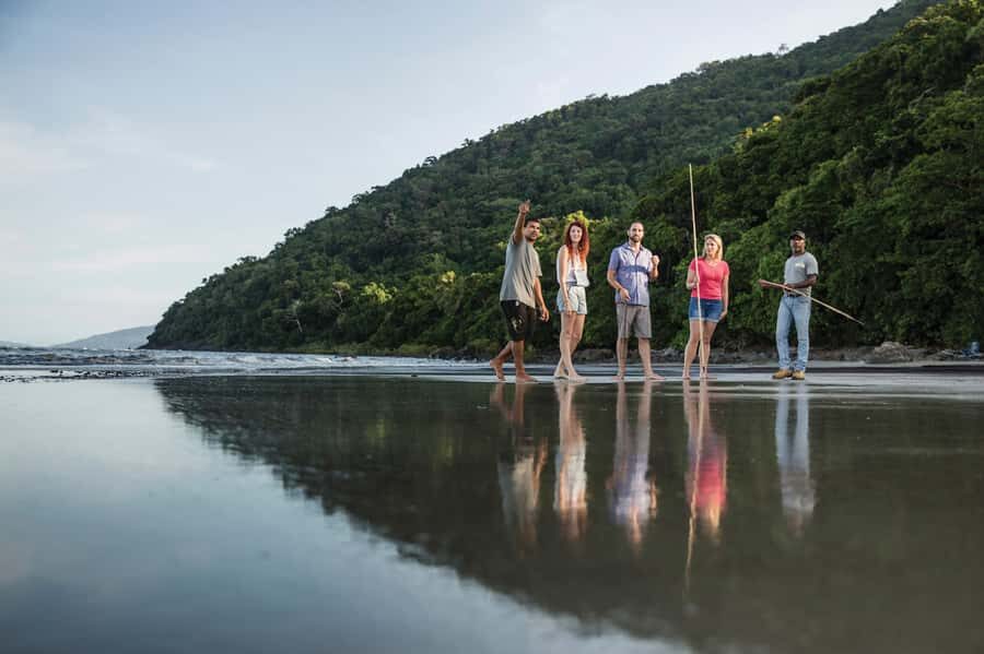 Port Douglas: Full Day Daintree Cultural Tour with Lunch - The Food: A Highlight