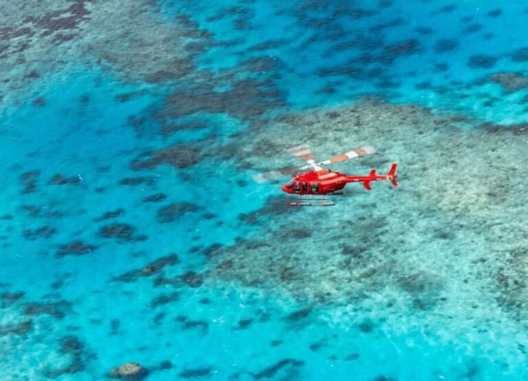Port Douglas: Great Barrier Reef 45-Minute Helicopter Flight - Practical Details: What to Know Before You Book