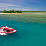 Port Douglas: Low Isles Reef Snorkeling Tour - The Experience from the Guests Perspective