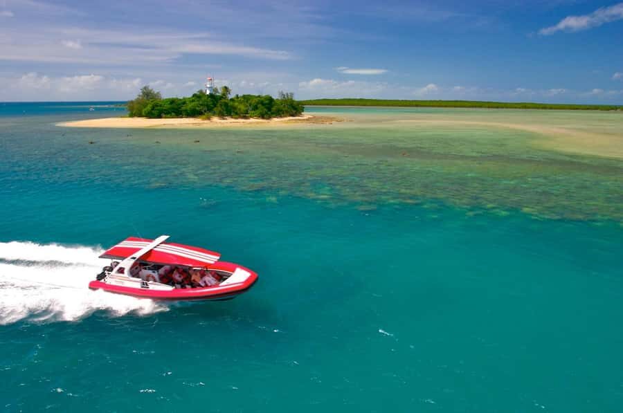 Port Douglas: Low Isles Reef Snorkeling Tour - The Experience from the Guests Perspective