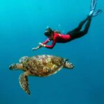 Port Douglas: Outer Barrier Reef Cruise & 10 Min Helicopter - What We Love About This Tour