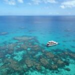 Port Douglas: Outer Great Barrier Reef Snorkeling Cruise - Practical Details & What You Need to Know