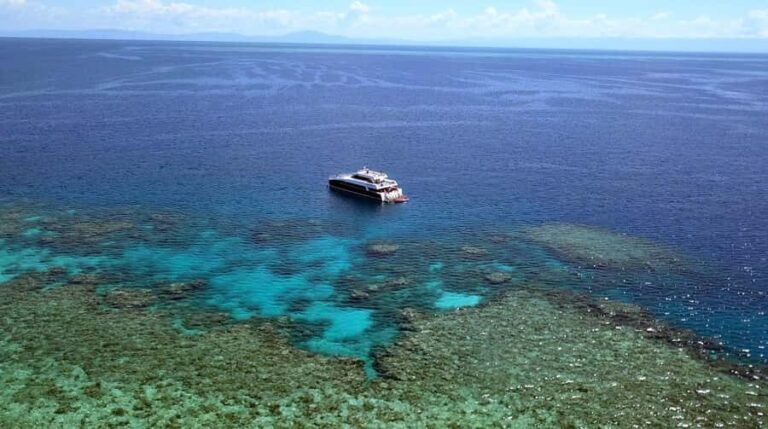 Port Douglas: Premium Outer Reef Dive Trip - What’s Included and How It Works