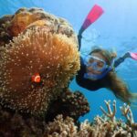 Port Douglas: Quicksilver Outer Barrier Reef Full-Day Cruise - A Full Breakdown of the Experience