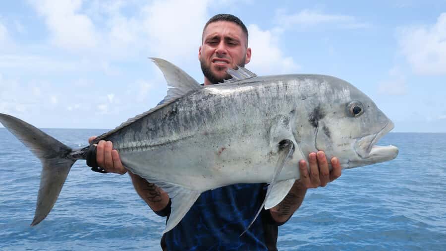 Port Douglas: Reef & Estuary Sportfishing Charters - What To Expect on Your Trip