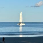 Port Douglas To Cairns Airport Shared Shuttle - Who Will Love This Service?