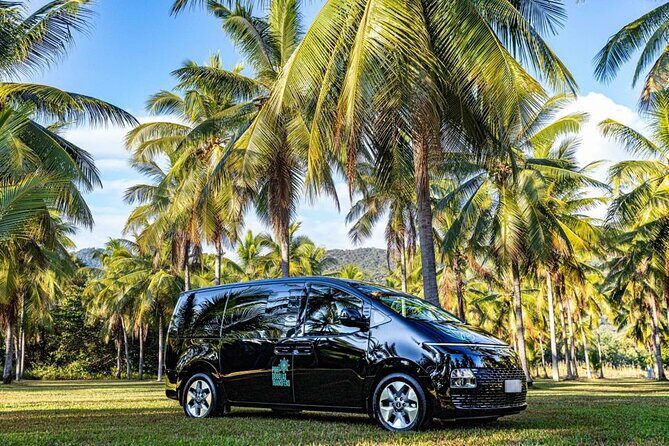 Port Douglas to Cairns ONE WAY Private Transfer 6 pax - Detailed Breakdown of the Experience