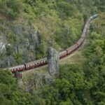 Port Douglas: World Heritage Forest by Skyrail & Scenic Rail - Who Is This Tour Best For?