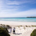 Port Lincoln: Coffin Bay Seafood, Wine, and Nature Day Trip - What Sets This Tour Apart?