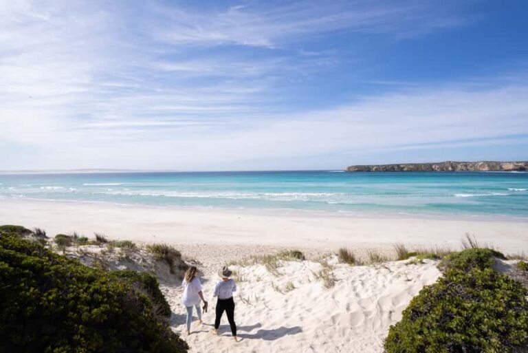 Port Lincoln: Coffin Bay Seafood, Wine, and Nature Day Trip - What Sets This Tour Apart?