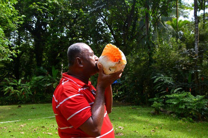 Port of Suva - Private Tour - Who Should Consider This Tour?