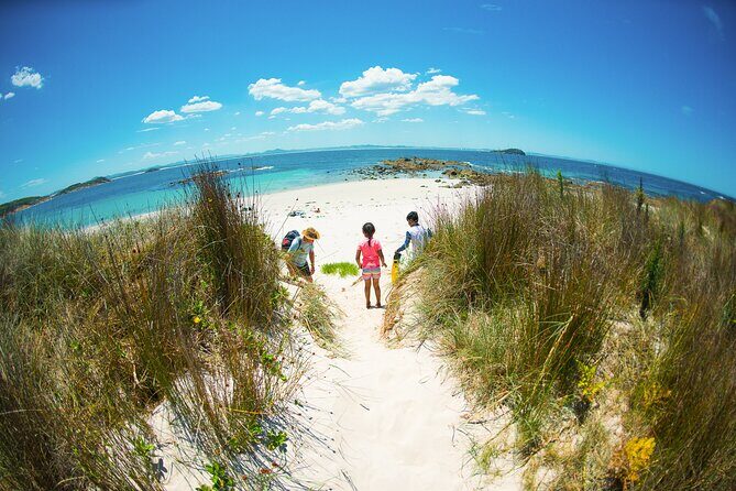 Port Stephens: Broughton Island Cruise - Water Activities and Wildlife Watching