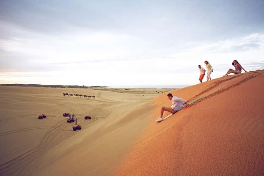 Port Stephens: Dolphin Cruise, Lunch, Koalas & Sandboarding - Exploring the Itinerary in Detail