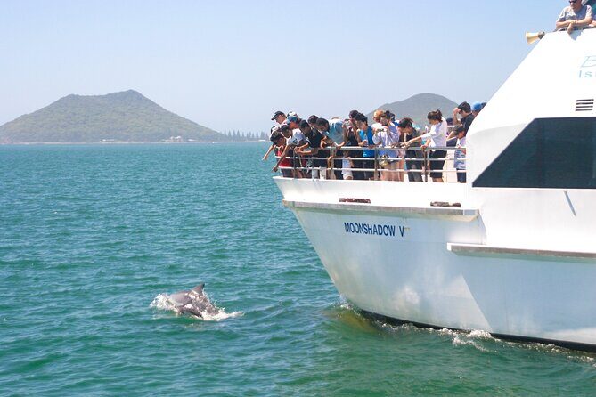 Port Stephens: Dolphin Discovery Cruise - What Do Reviewers Say?