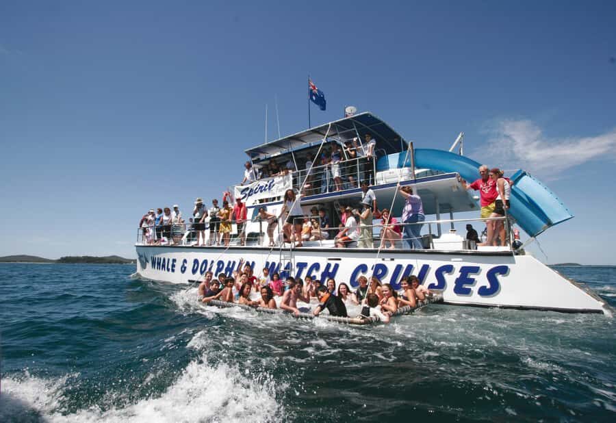 Port Stephens: Dolphin Watch Cruise with Swimming and Slides - The Authenticity and Value