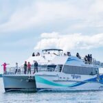 Port Stephens: Dolphin Watch & Eco Adventure - Who Should Consider This Tour?