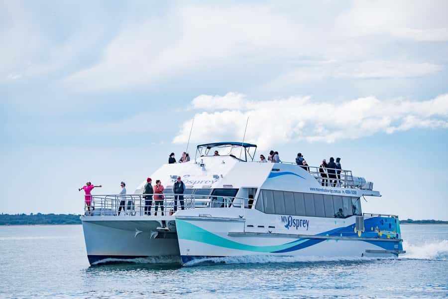Port Stephens: Dolphin Watch & Eco Adventure - Who Should Consider This Tour?